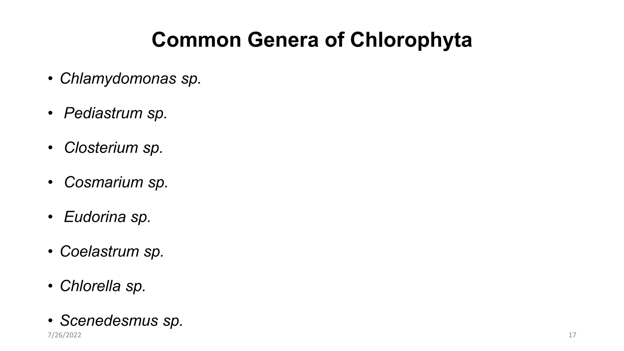PLANKTON, TYPES, IMPORTANCE.pptx