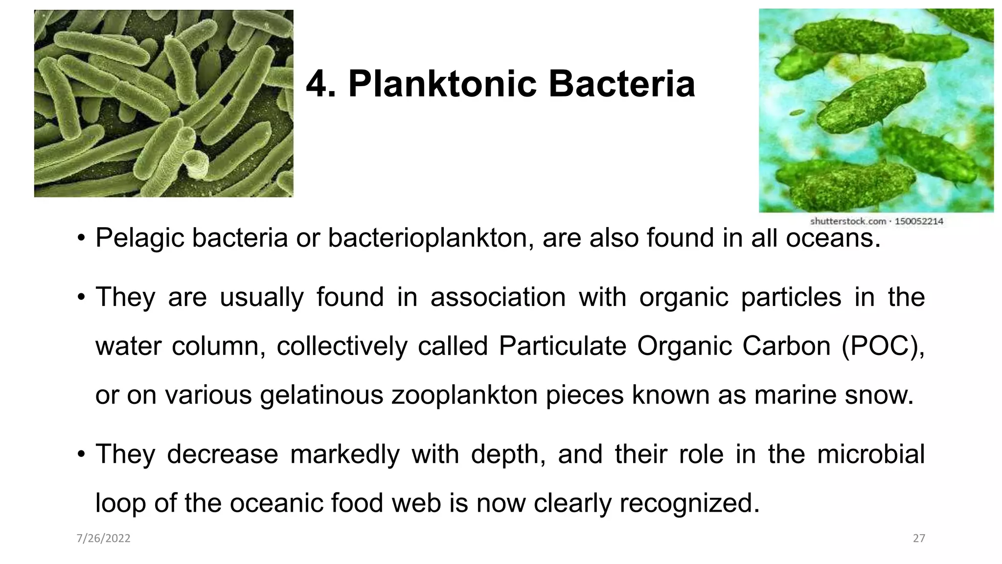 PLANKTON, TYPES, IMPORTANCE.pptx