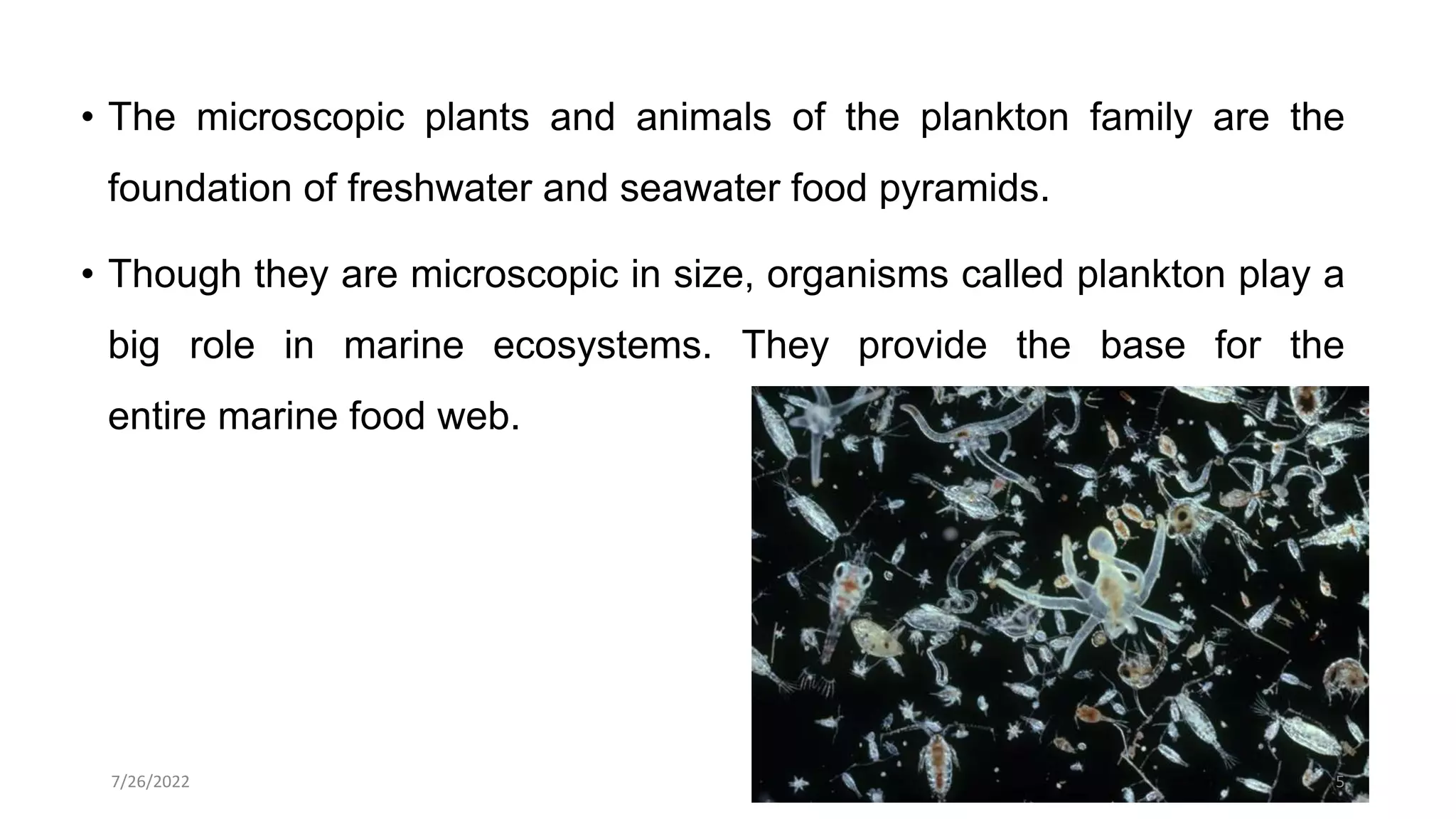 PLANKTON, TYPES, IMPORTANCE.pptx