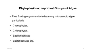 PLANKTON, TYPES, IMPORTANCE.pptx
