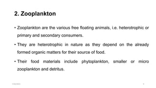 PLANKTON, TYPES, IMPORTANCE.pptx