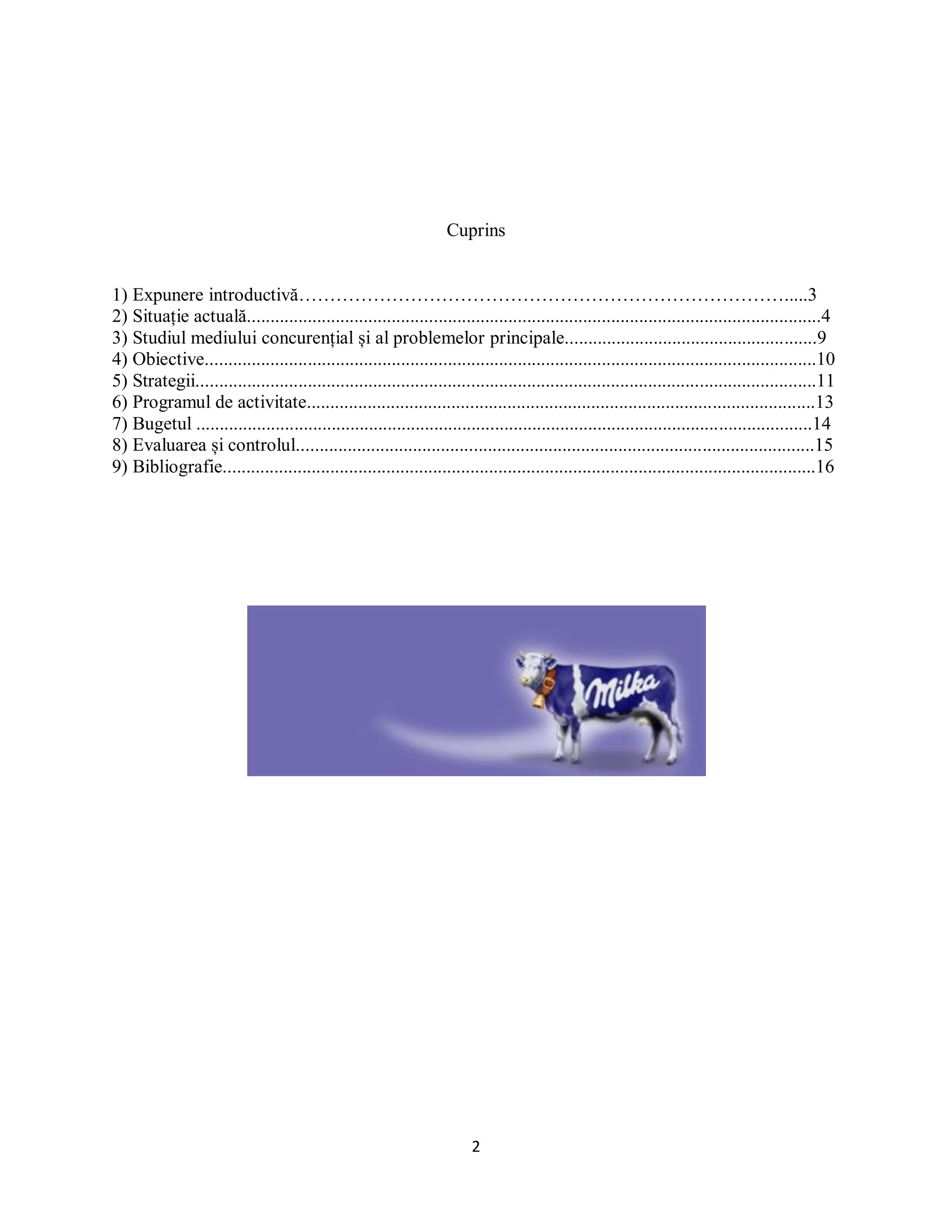 Plan managerial | PDF