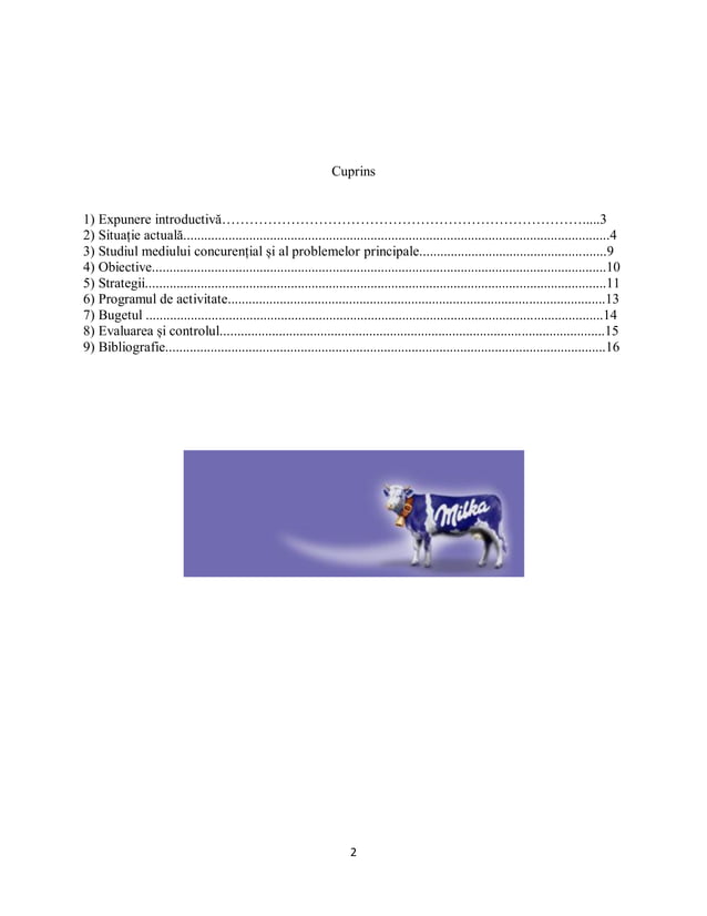 Plan managerial | PDF