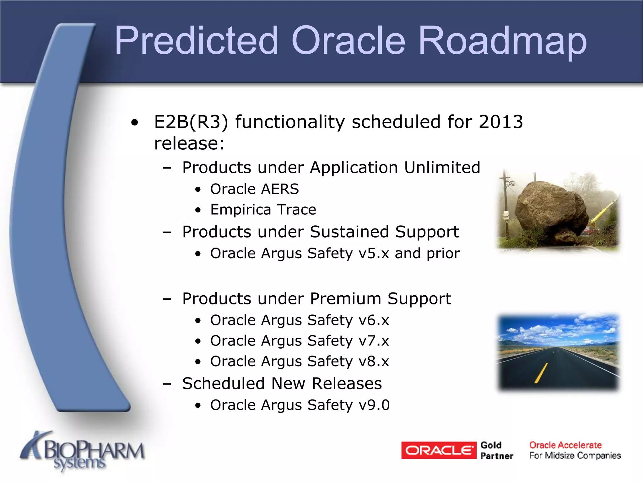 Planning for the New Individual Case Safety Report (ICSR) International ...