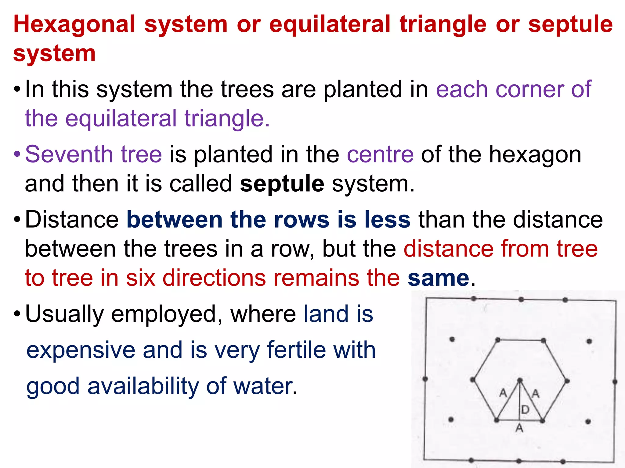 PLANNING AND LAYOUT OF AN ORCHARD.pptx