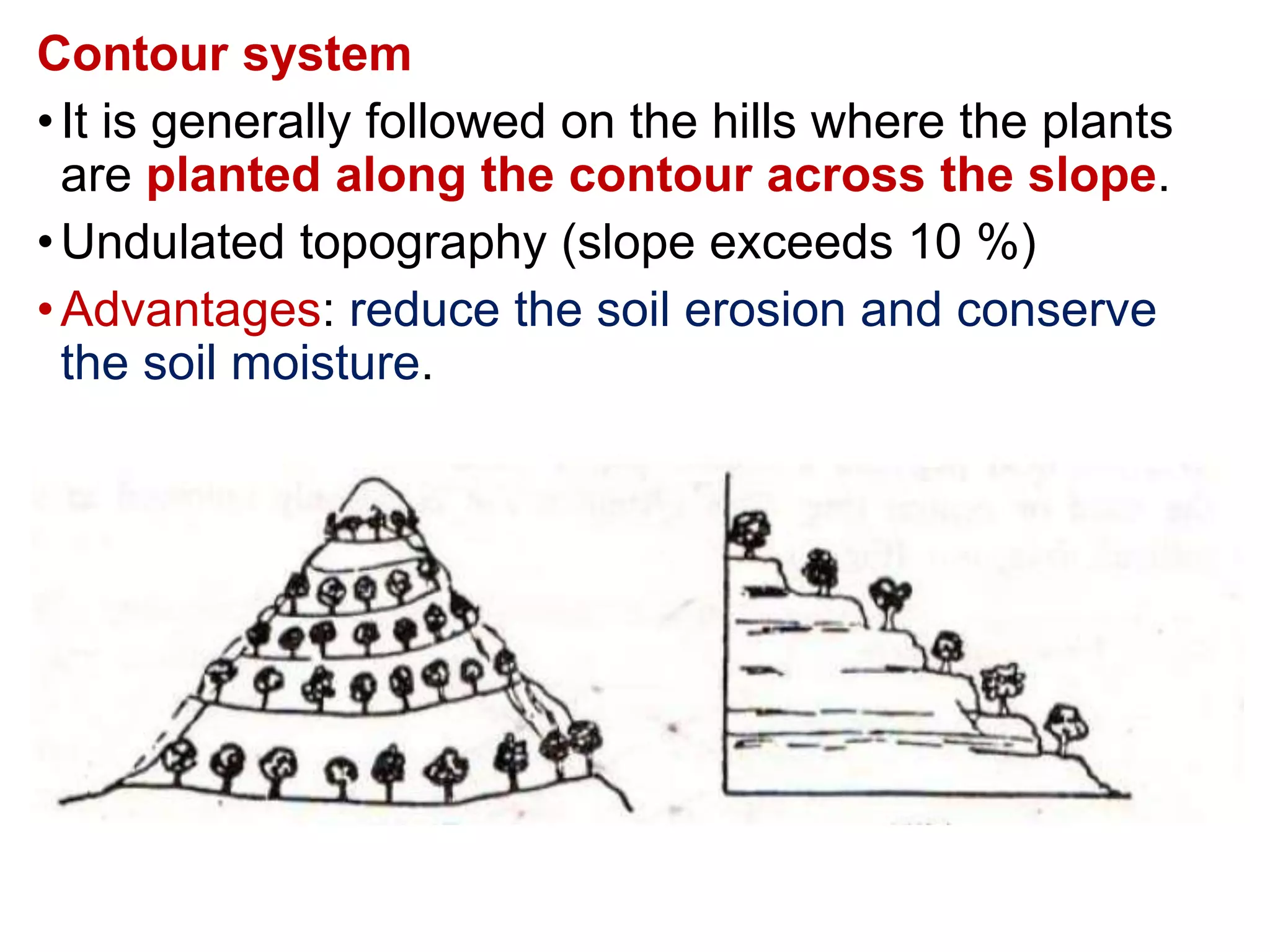 PLANNING AND LAYOUT OF AN ORCHARD.pptx