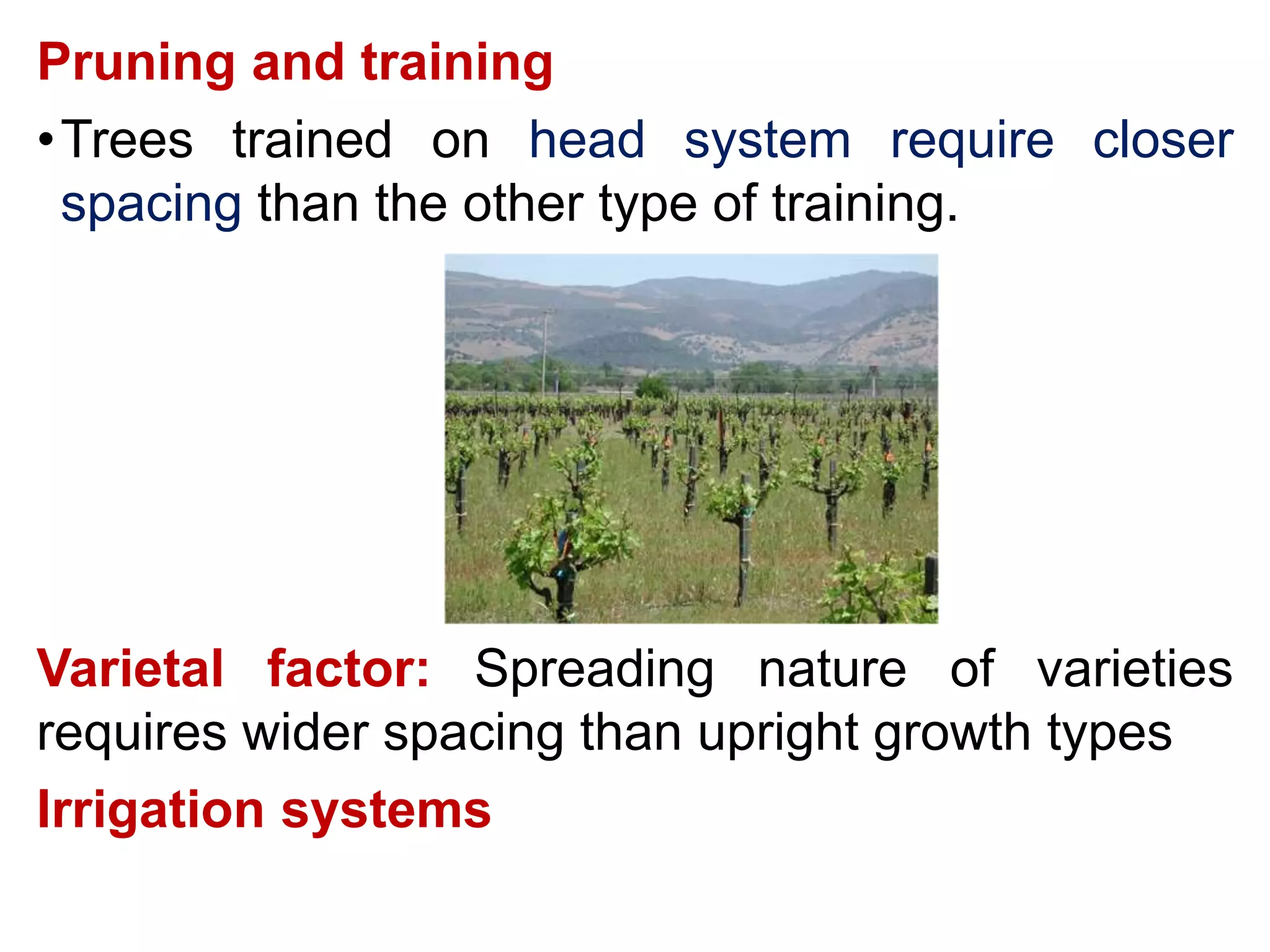PLANNING AND LAYOUT OF AN ORCHARD.pptx
