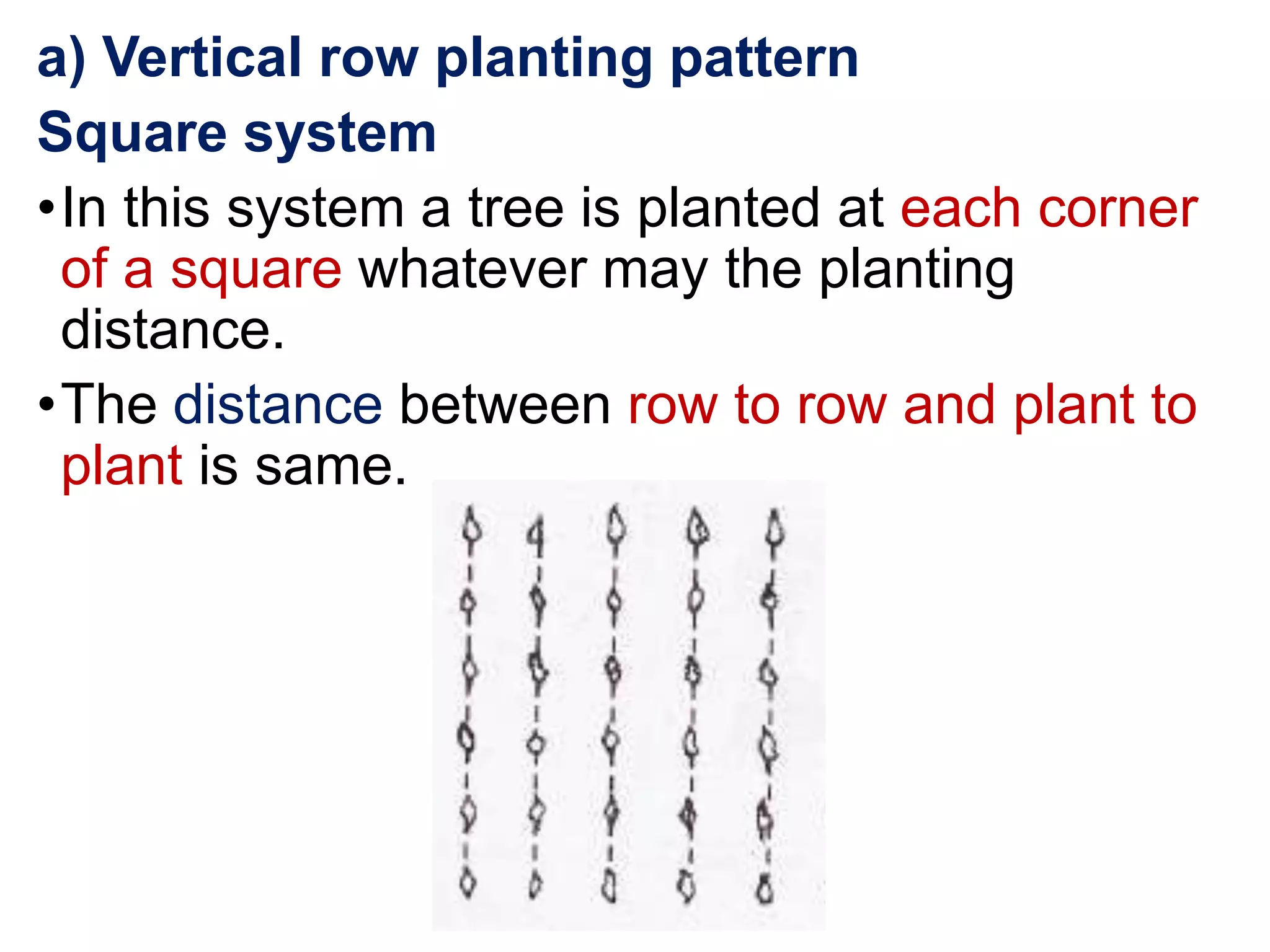PLANNING AND LAYOUT OF AN ORCHARD.pptx
