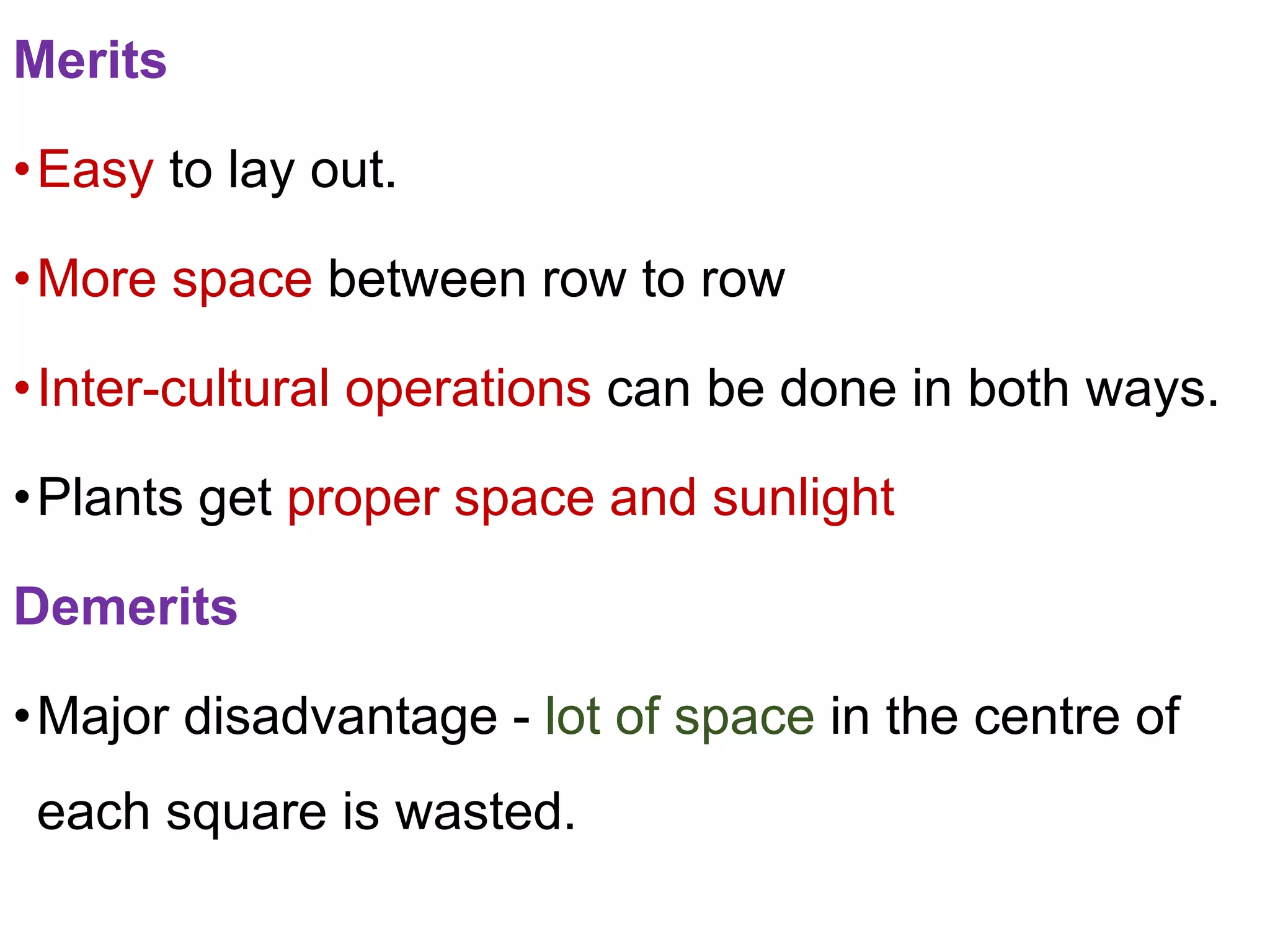 PLANNING AND LAYOUT OF AN ORCHARD.pptx