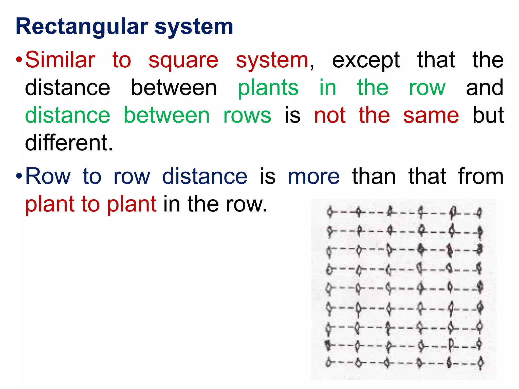 PLANNING AND LAYOUT OF AN ORCHARD.pptx