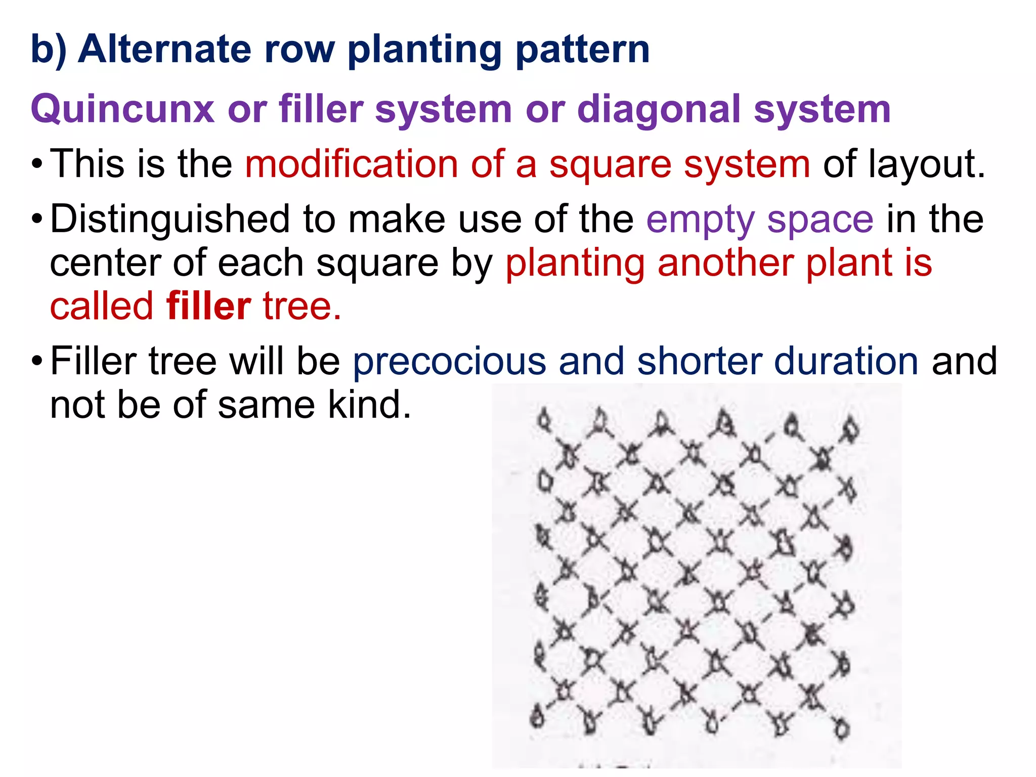 PLANNING AND LAYOUT OF AN ORCHARD.pptx