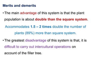 PLANNING AND LAYOUT OF AN ORCHARD.pptx