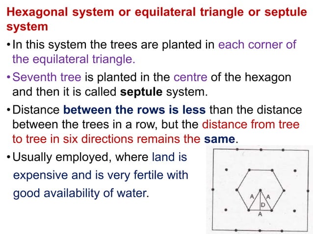 PLANNING AND LAYOUT OF AN ORCHARD.pptx | Gardening | Home & Garden
