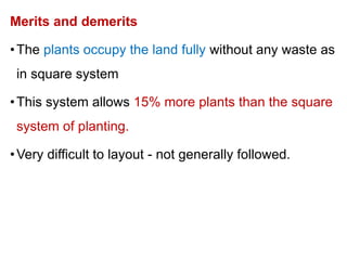 PLANNING AND LAYOUT OF AN ORCHARD.pptx