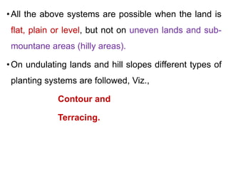 PLANNING AND LAYOUT OF AN ORCHARD.pptx