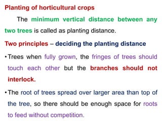 PLANNING AND LAYOUT OF AN ORCHARD.pptx