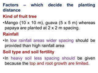 PLANNING AND LAYOUT OF AN ORCHARD.pptx