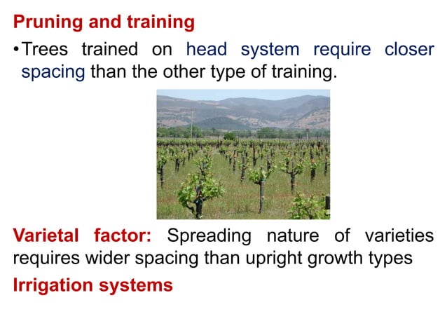 PLANNING AND LAYOUT OF AN ORCHARD.pptx | Gardening | Home & Garden