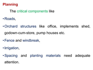 PLANNING AND LAYOUT OF AN ORCHARD.pptx