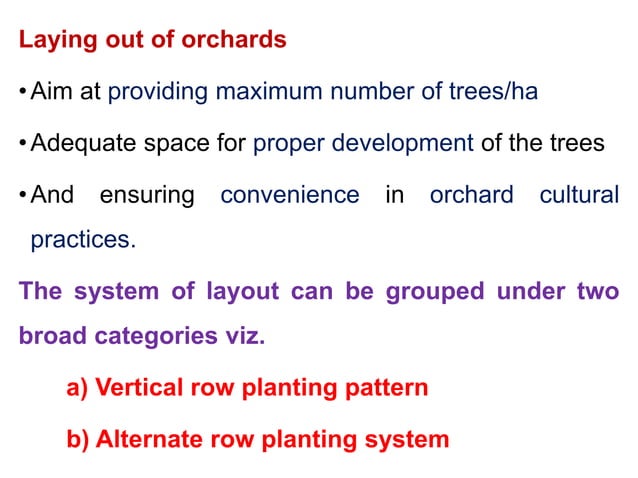 PLANNING AND LAYOUT OF AN ORCHARD.pptx | Gardening | Home & Garden