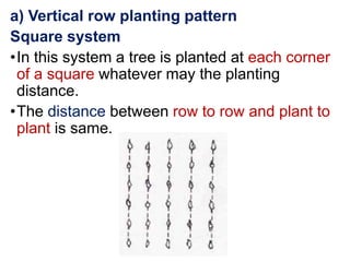 PLANNING AND LAYOUT OF AN ORCHARD.pptx