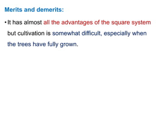 PLANNING AND LAYOUT OF AN ORCHARD.pptx