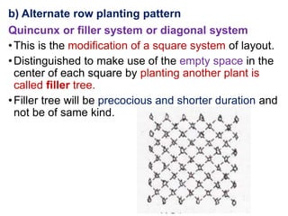 PLANNING AND LAYOUT OF AN ORCHARD.pptx