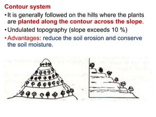 PLANNING AND LAYOUT OF AN ORCHARD.pptx