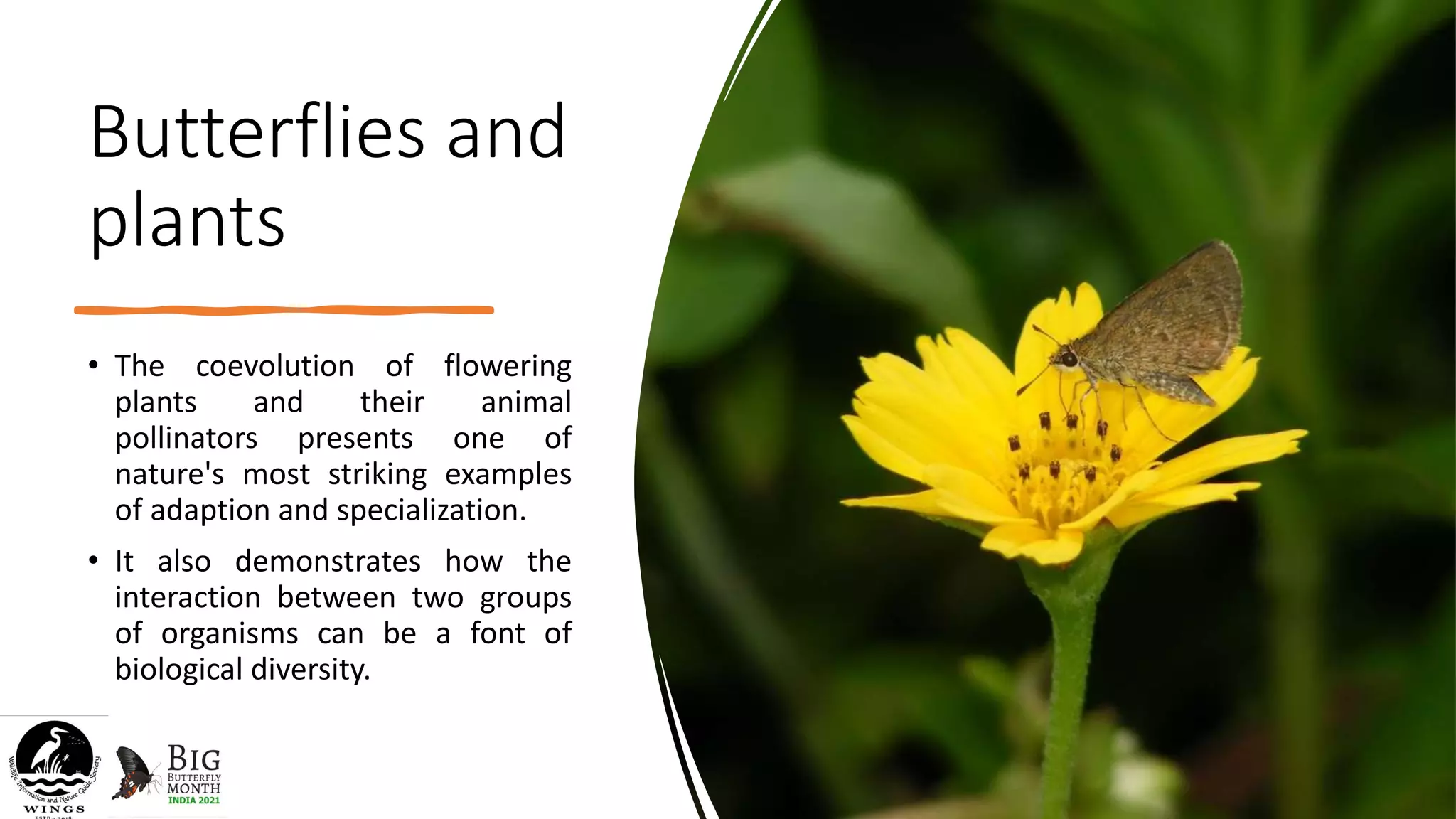 Planning and management of butterfly gardens | PPTX