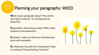 Planning an essay | PPTX