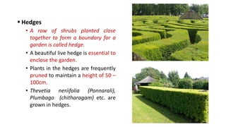 Planning, designing and principles | PPT