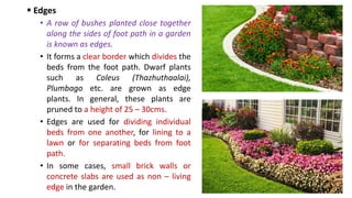 Planning, designing and principles | PPT