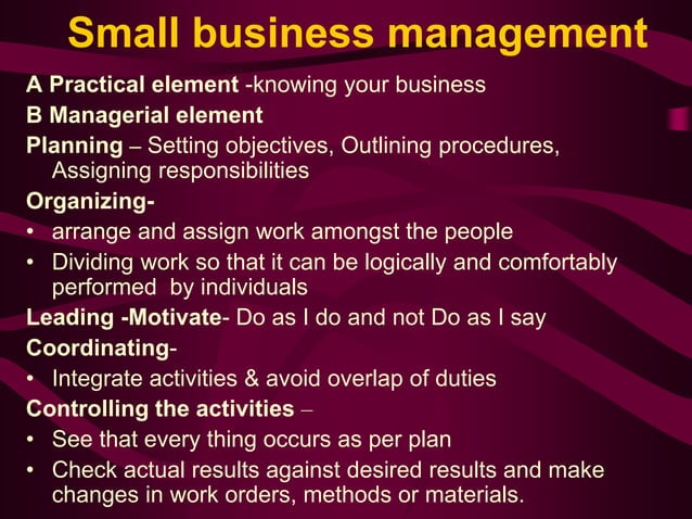 Planning, launching and management strategies of small businesses | PPT
