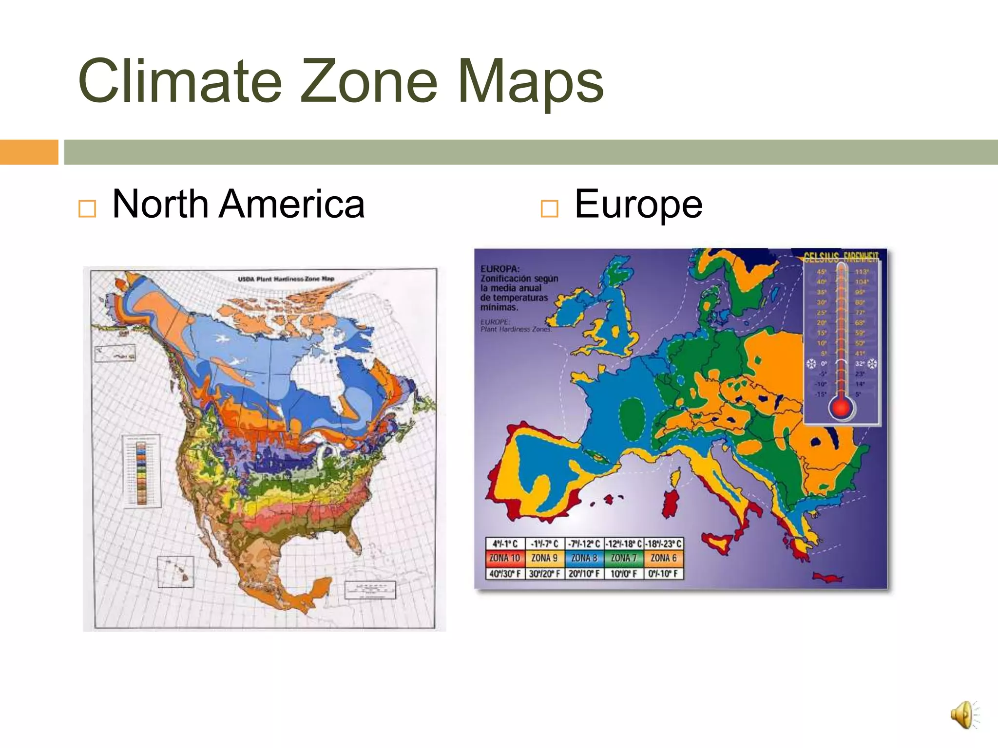 Planning your garden | PPTX