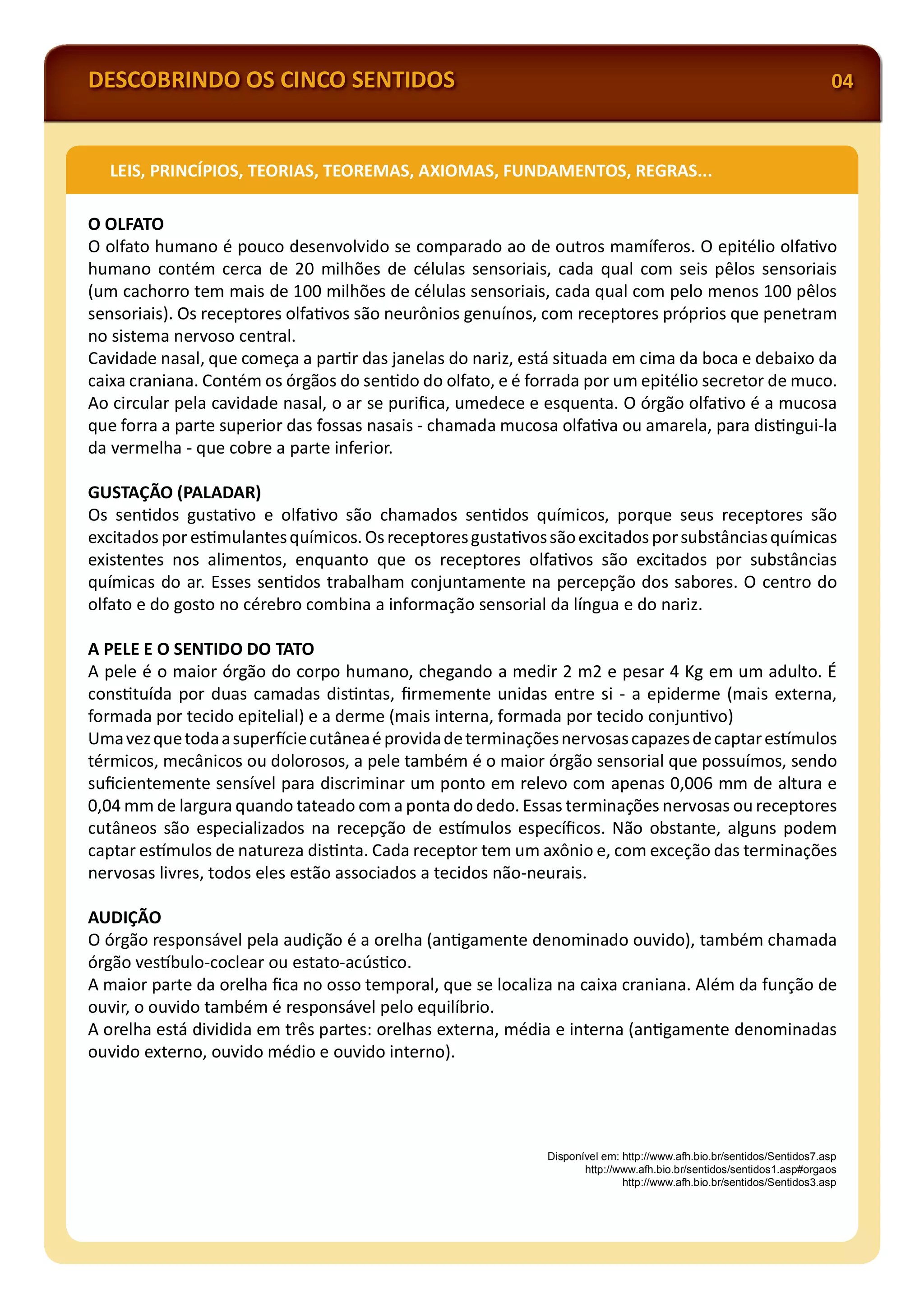 Plano de aula Descobrindo os cinco sentidos | PDF Plano de aula Descobrindo os cinco sentidos | PDF