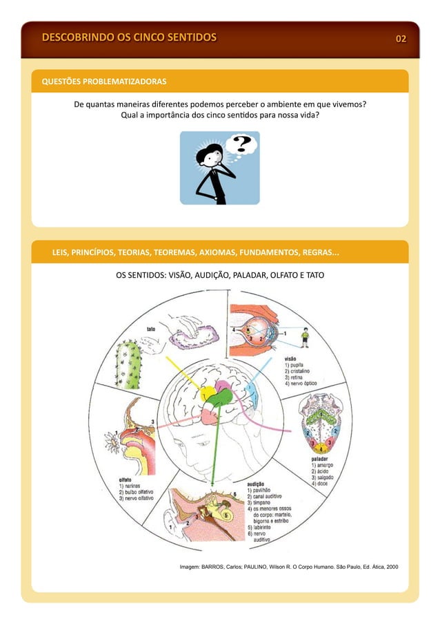 Plano de aula Descobrindo os cinco sentidos | PDF Plano de aula Descobrindo os cinco sentidos | PDF
