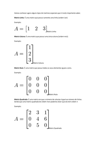 Plano de trabalho matrizes e determinantes. | PDF