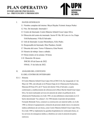 PLAN OPERATIVO Mey.docx