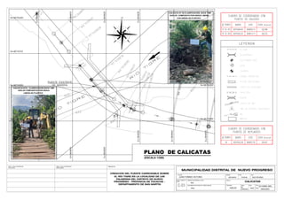 PLANO DE CALICATAS EN DISTRITO DE NUEVO PROGRESO | PDF