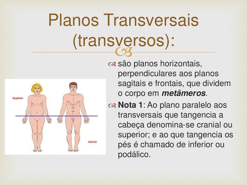 Planos De Seccao