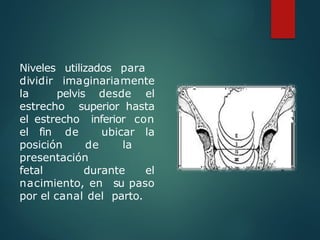 Planos de Hodge GINECOLOGIA Y OBSTETRICIA.pptx