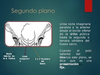 Planos de Hodge GINECOLOGIA Y OBSTETRICIA.pptx