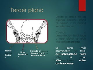 Planos de Hodge GINECOLOGIA Y OBSTETRICIA.pptx