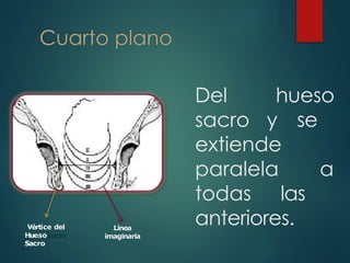 Planos de Hodge GINECOLOGIA Y OBSTETRICIA.pptx