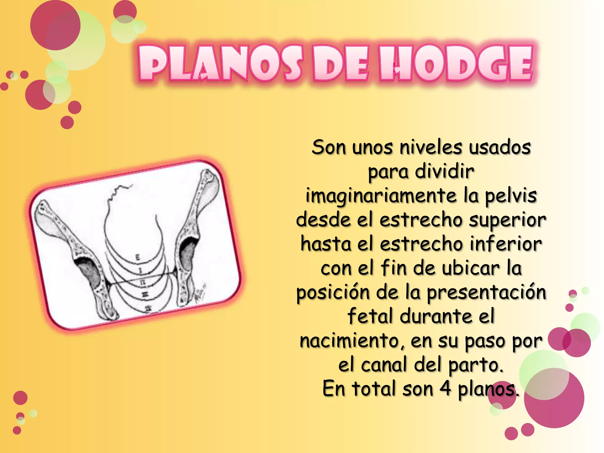 Planos de hodge blog | PPTX
