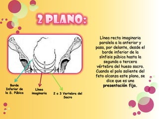 Planos de hodge blog | PPTX