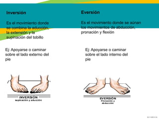 Plano del cuerpo, movimientos corporales | PPTX