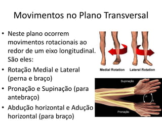 planos_eixos_movimentos.pdf
