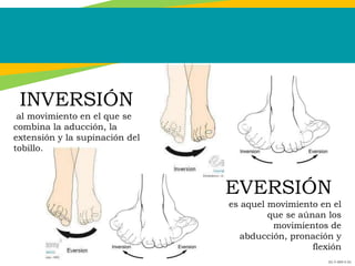 PLANOS DEL CUERPO HUMANO | PPTX
