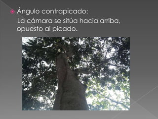 Planos y angulos | PPTX